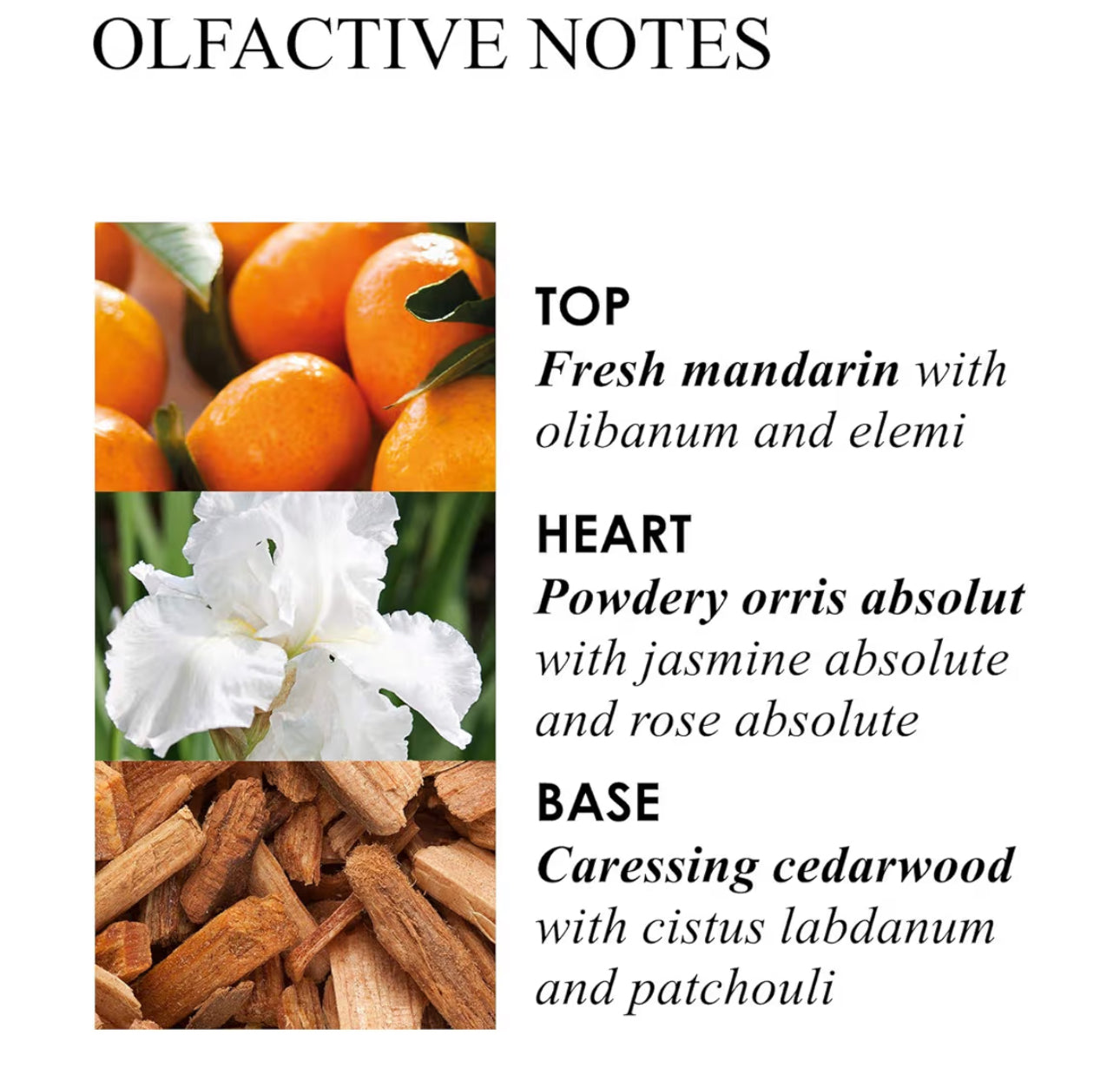 £10 TUESDAYS! Molton Brown Suede Orris Enveloping Body Oil 100 ml – J&C ...